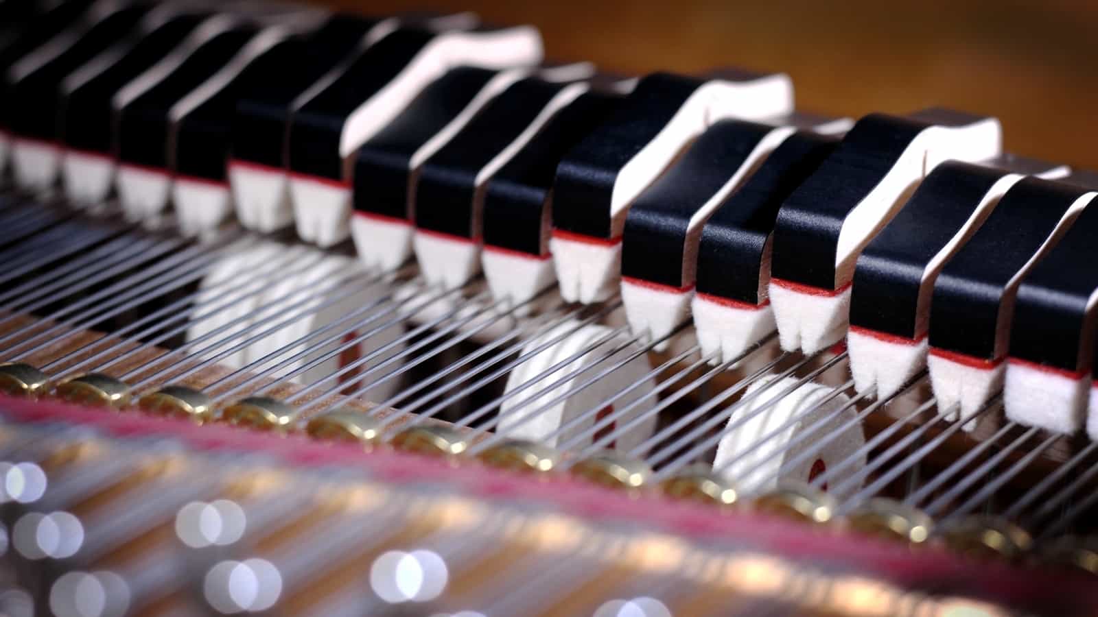 Sympathetic Resonance: Acoustic and Digital String Resonances